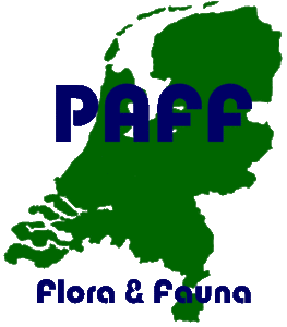 Blog | WWFF | World Wide Flora & Fauna in Amateur Radio