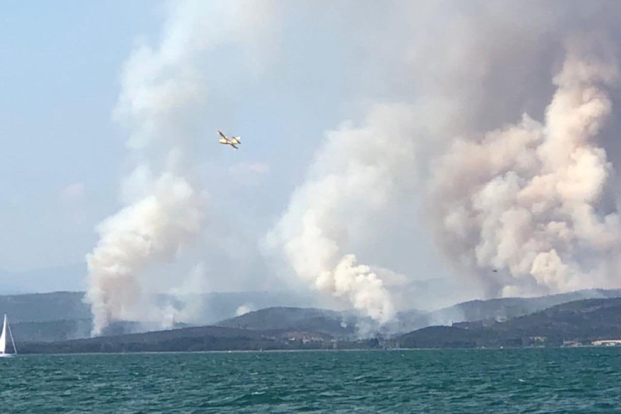 Blog | WWFF | World Wide Flora & Fauna in Amateur Radio