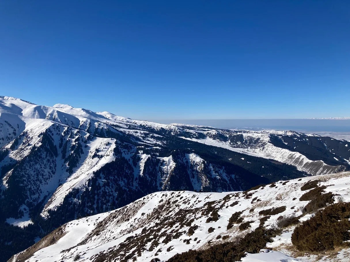 Blog | WWFF | World Wide Flora & Fauna in Amateur Radio